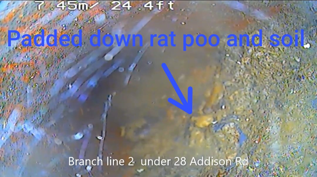 Drain Survey – Bromley Pest Control